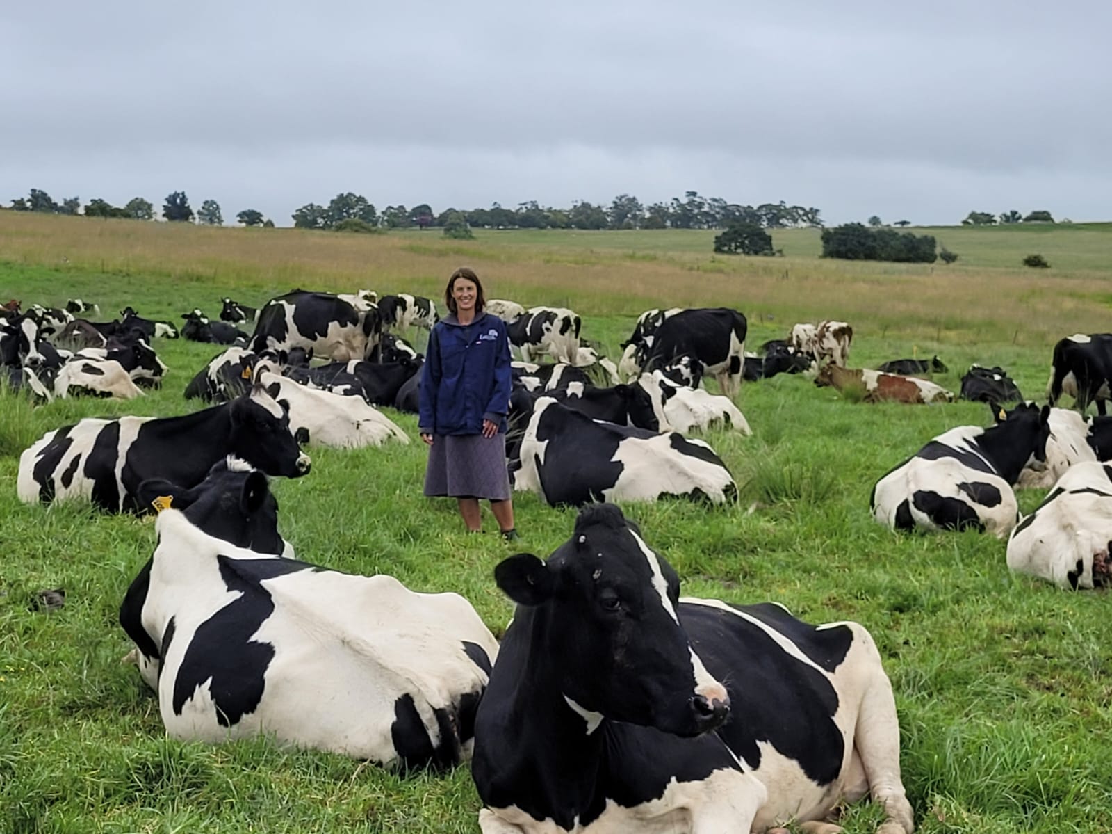 Field Trip to Dairy Farm